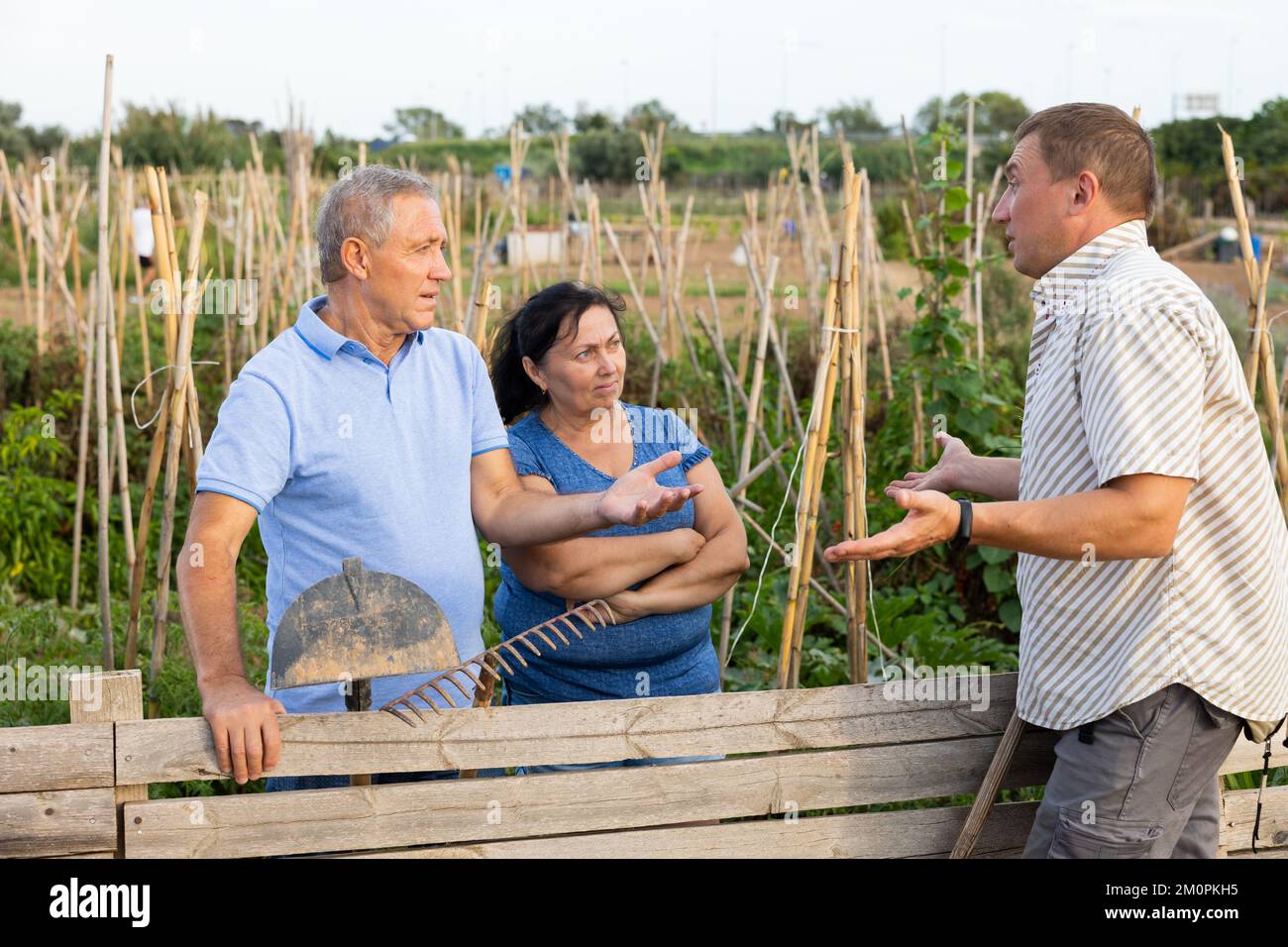 Dissatisfied elderly parents reprimanding adult son through wooden ...