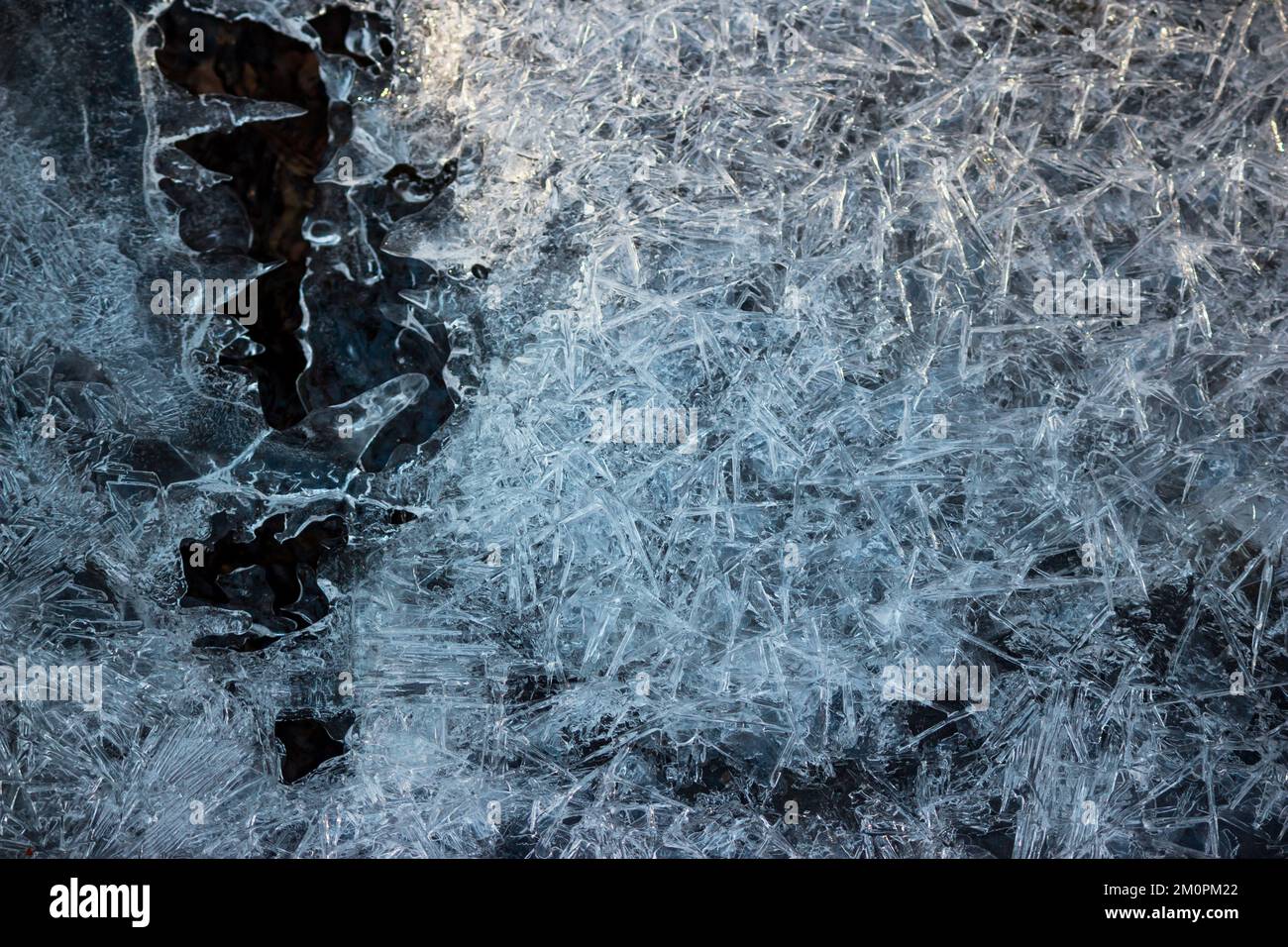 The texture of rapidly formed ice on the surface of the water in a ...