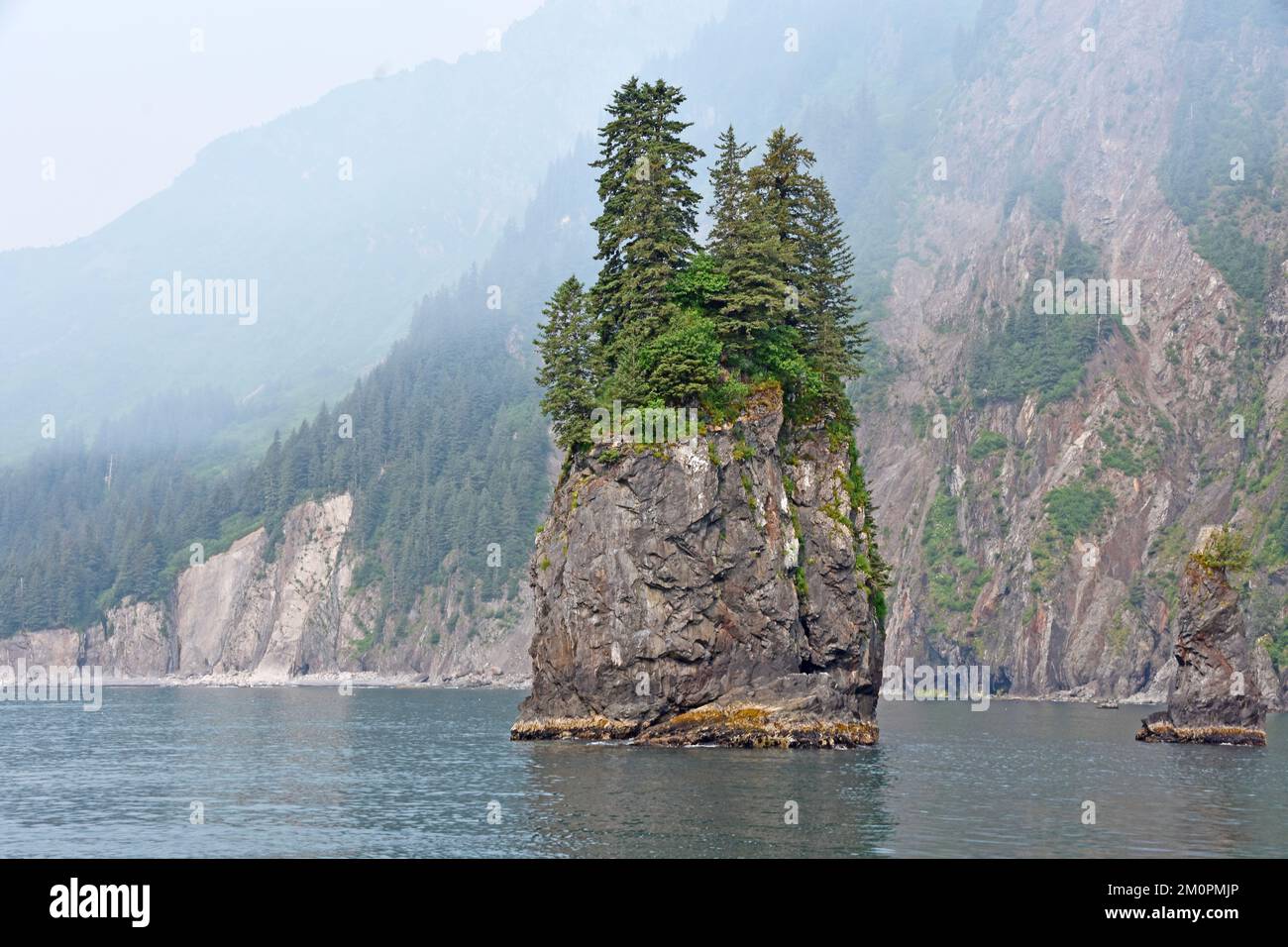 Rocky island in the ocean with evergreen trees Stock Photo - Alamy