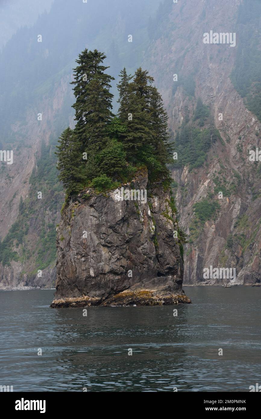 Rocky island in the ocean with evergreen trees Stock Photo - Alamy
