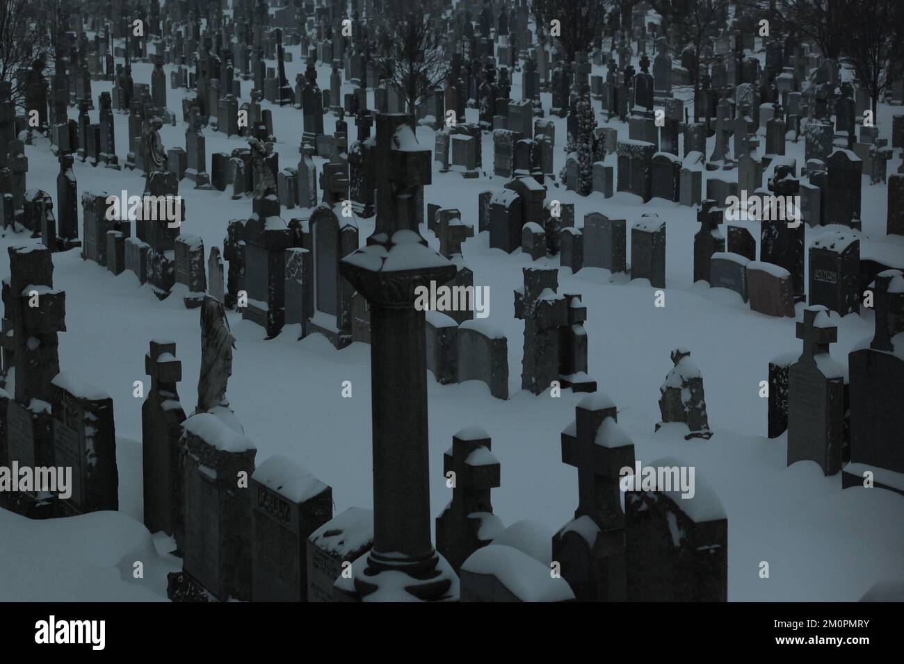 Frozen cemetery rows of gravestones covered with snow in the dark of ...