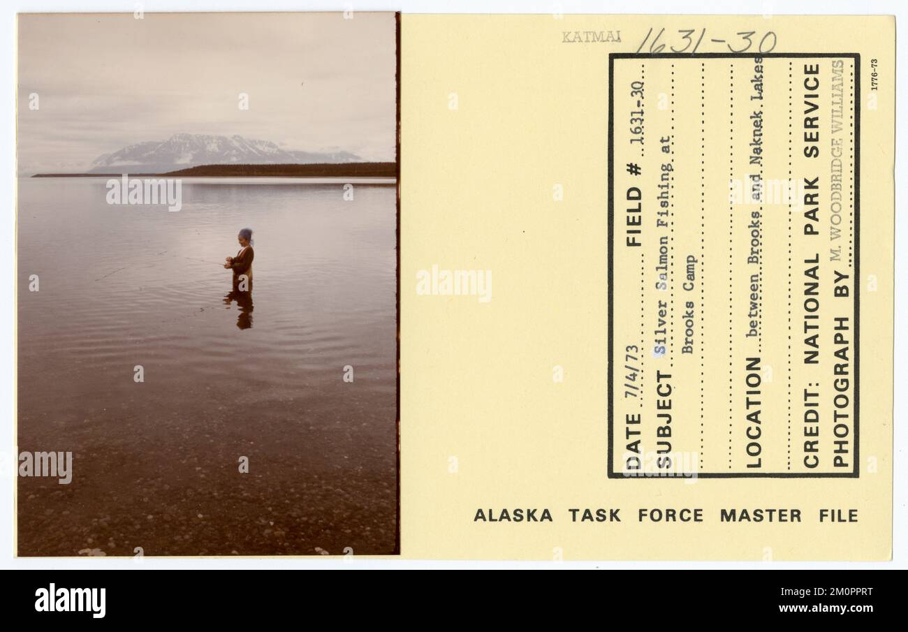 Silver Salmon fishing at Brooks Camp. Alaska Task Force Photographs ...