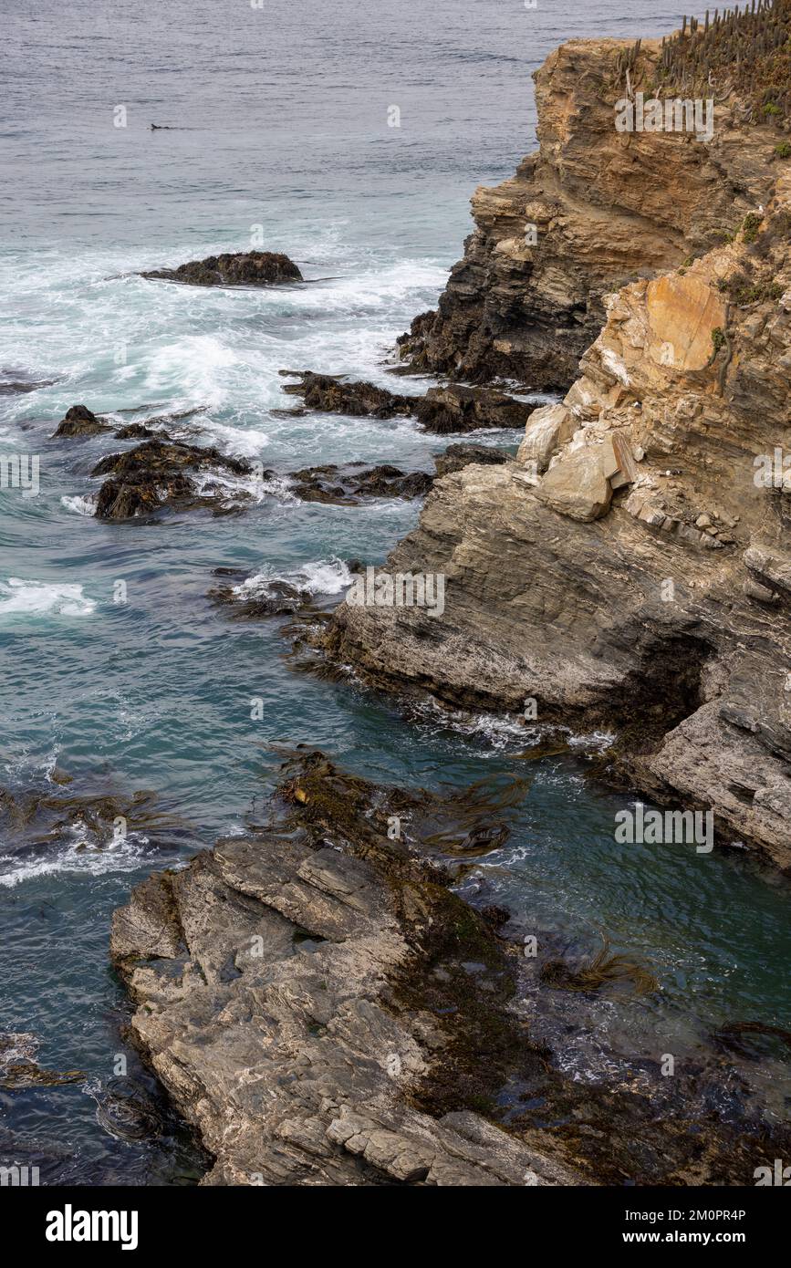 Punta de Lobos in Pichilemu, Chile Stock Photo - Alamy
