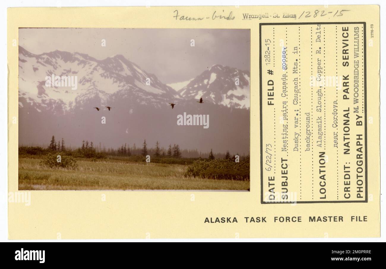 Background the chugach mountains Cut Out Stock Images & Pictures - Alamy