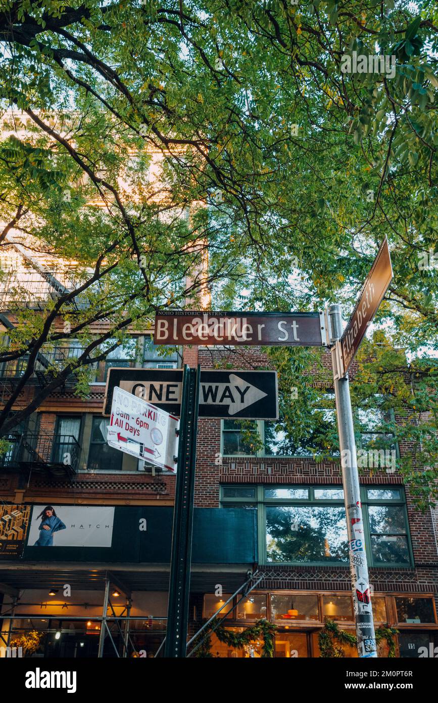 Plant City Street Names Spotlight: Mountain Brook Art Association,