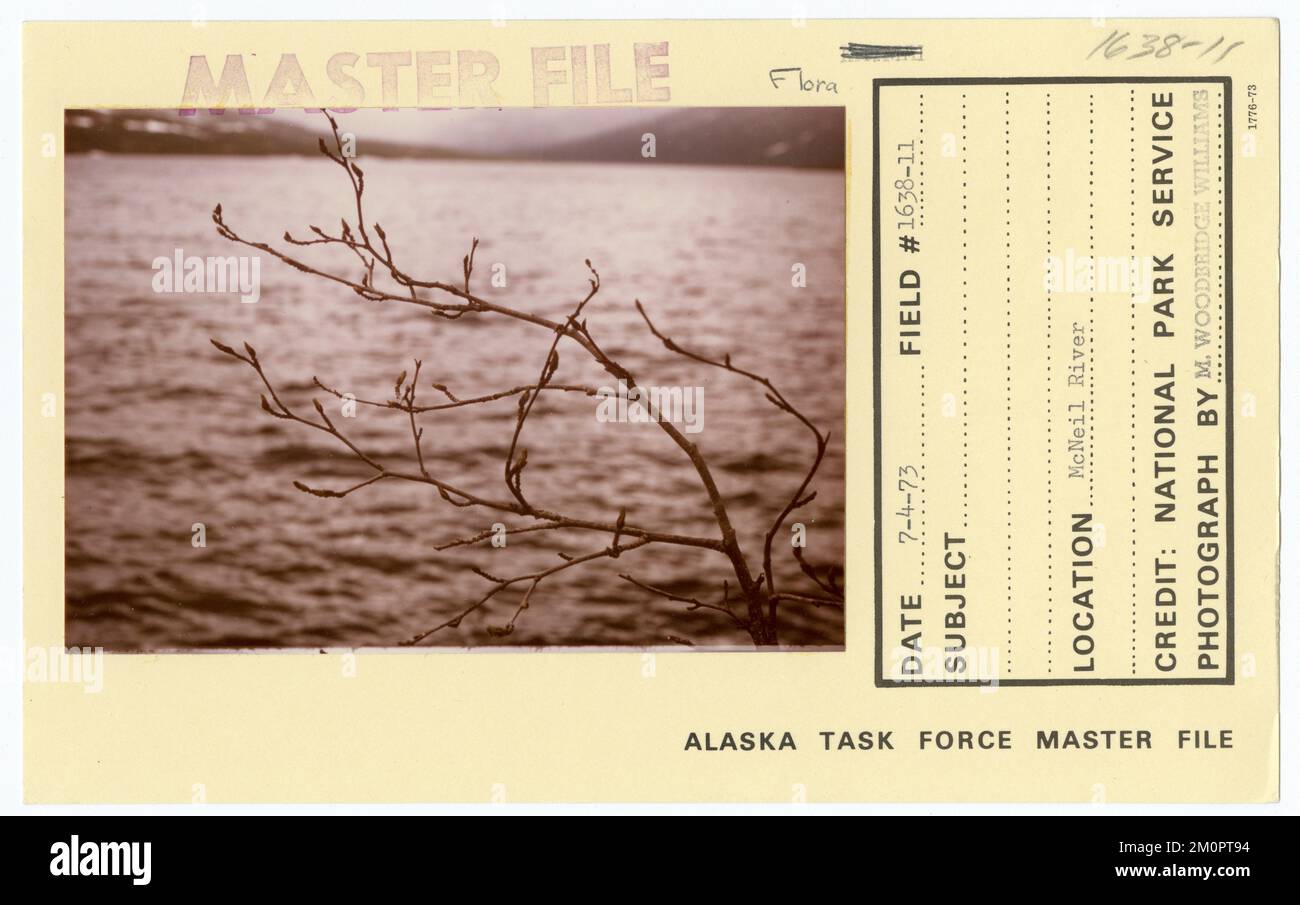 McNeil River. Alaska Task Force Photographs Stock Photo - Alamy