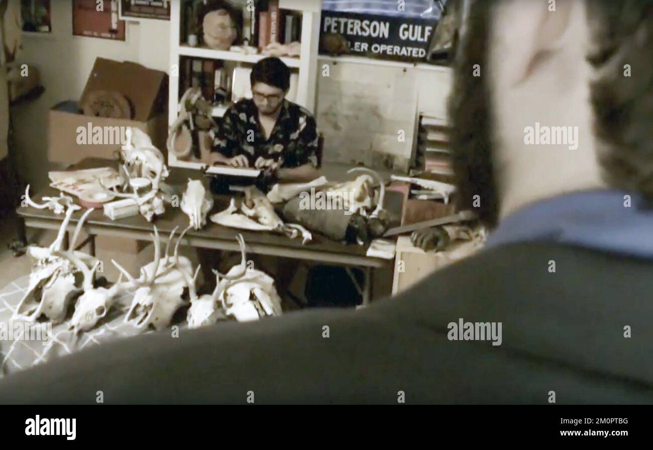 RONDO AND BOB, Ryan Williams, 2020. © All Channel Films /Courtesy ...