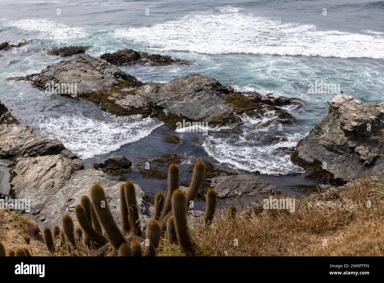 Punta de Lobos in Pichilemu, Chile Stock Photo - Alamy