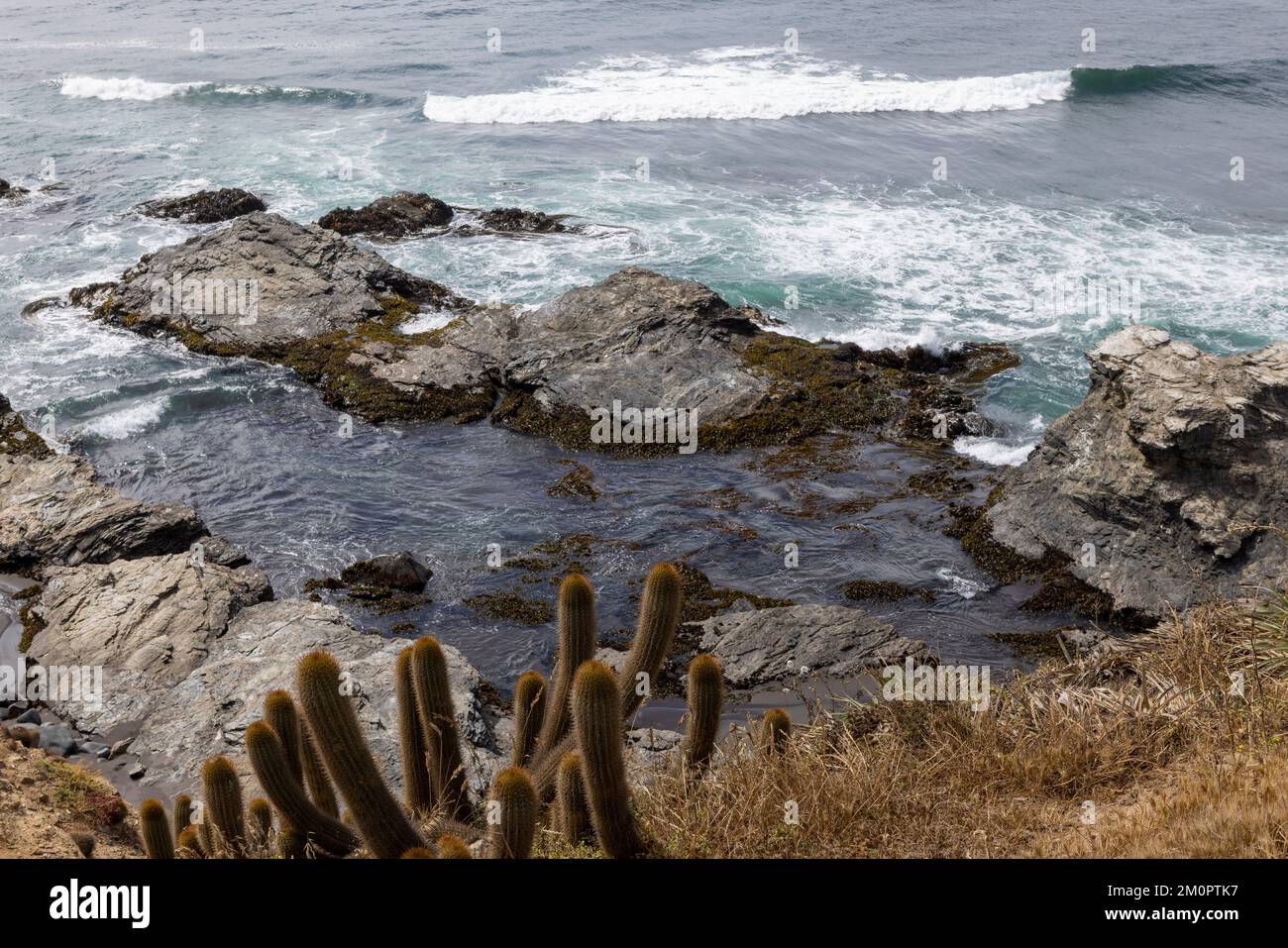 Punta de Lobos in Pichilemu, Chile Stock Photo - Alamy