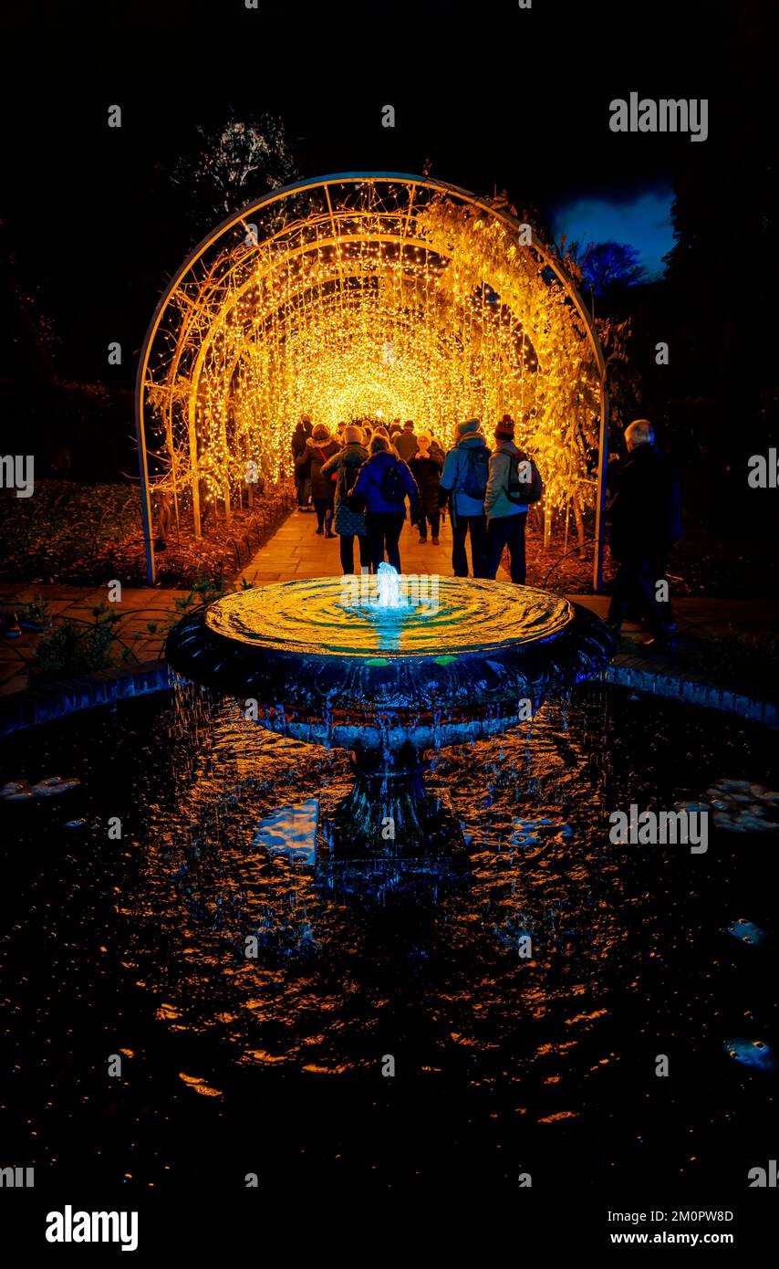 Arch of lights and fountain at the 2022 annual Christmas Glow event at ...