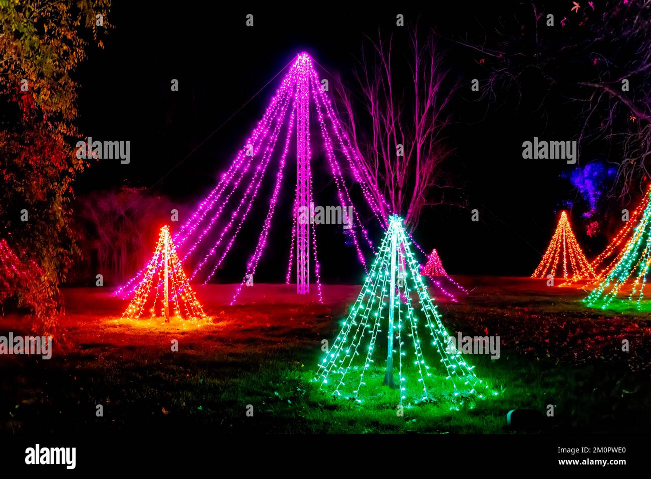 The 2022 annual Christmas Glow event in the Seven Acres area at RHS ...