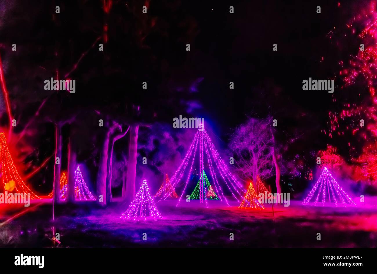 The 2022 annual Christmas Glow event in the Seven Acres area at RHS ...