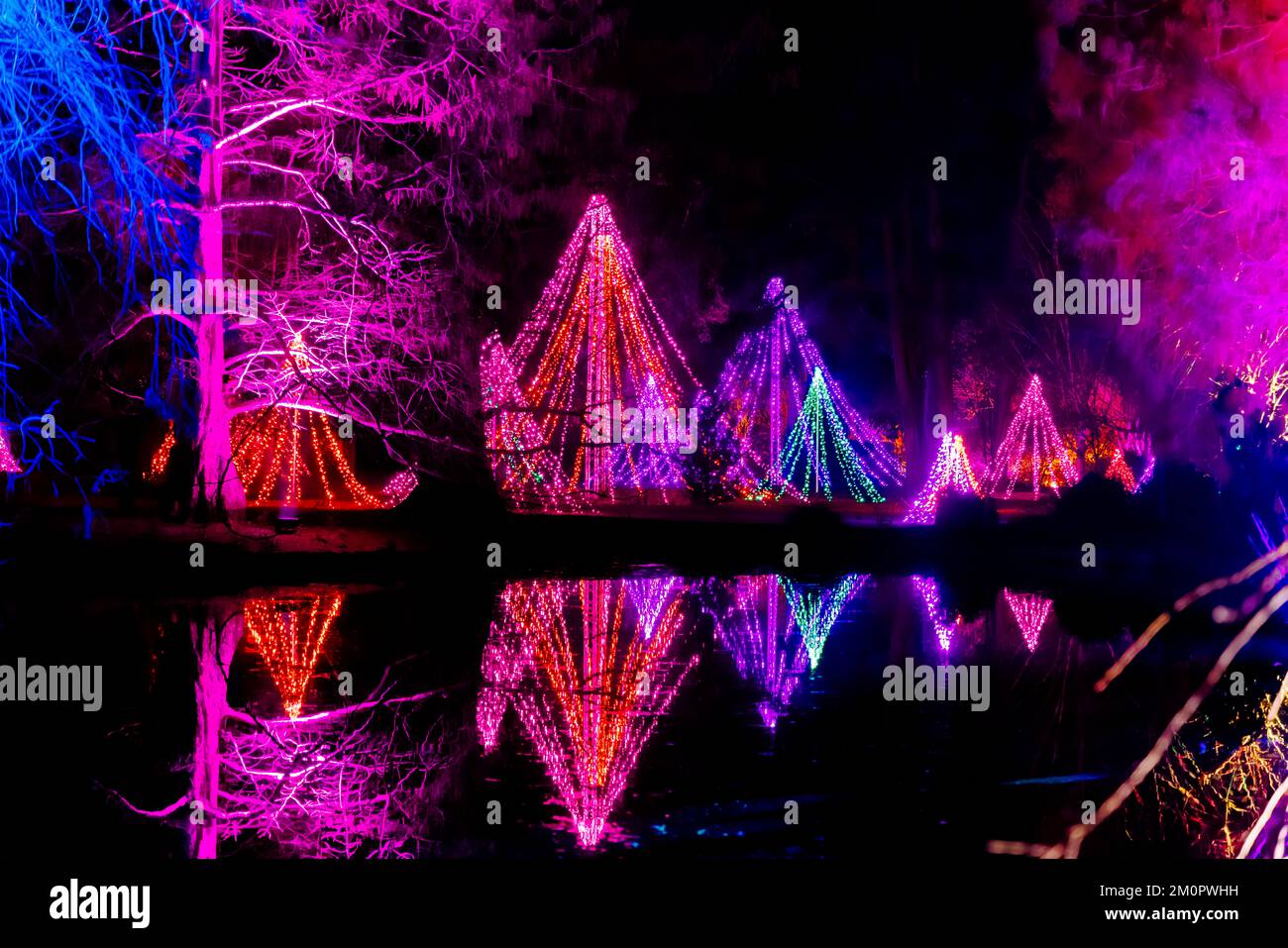 The 2022 annual Christmas Glow event in the Seven Acres area at RHS ...