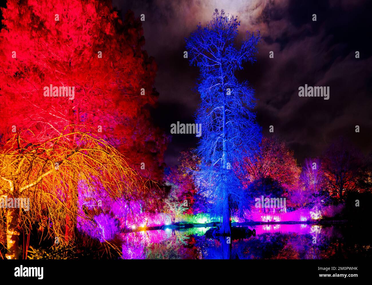 The 2022 annual Christmas Glow event in the Seven Acres area at RHS ...