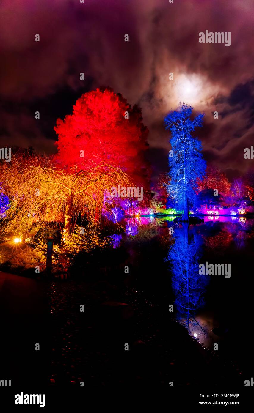 The 2022 annual Christmas Glow event in the Seven Acres area at RHS ...