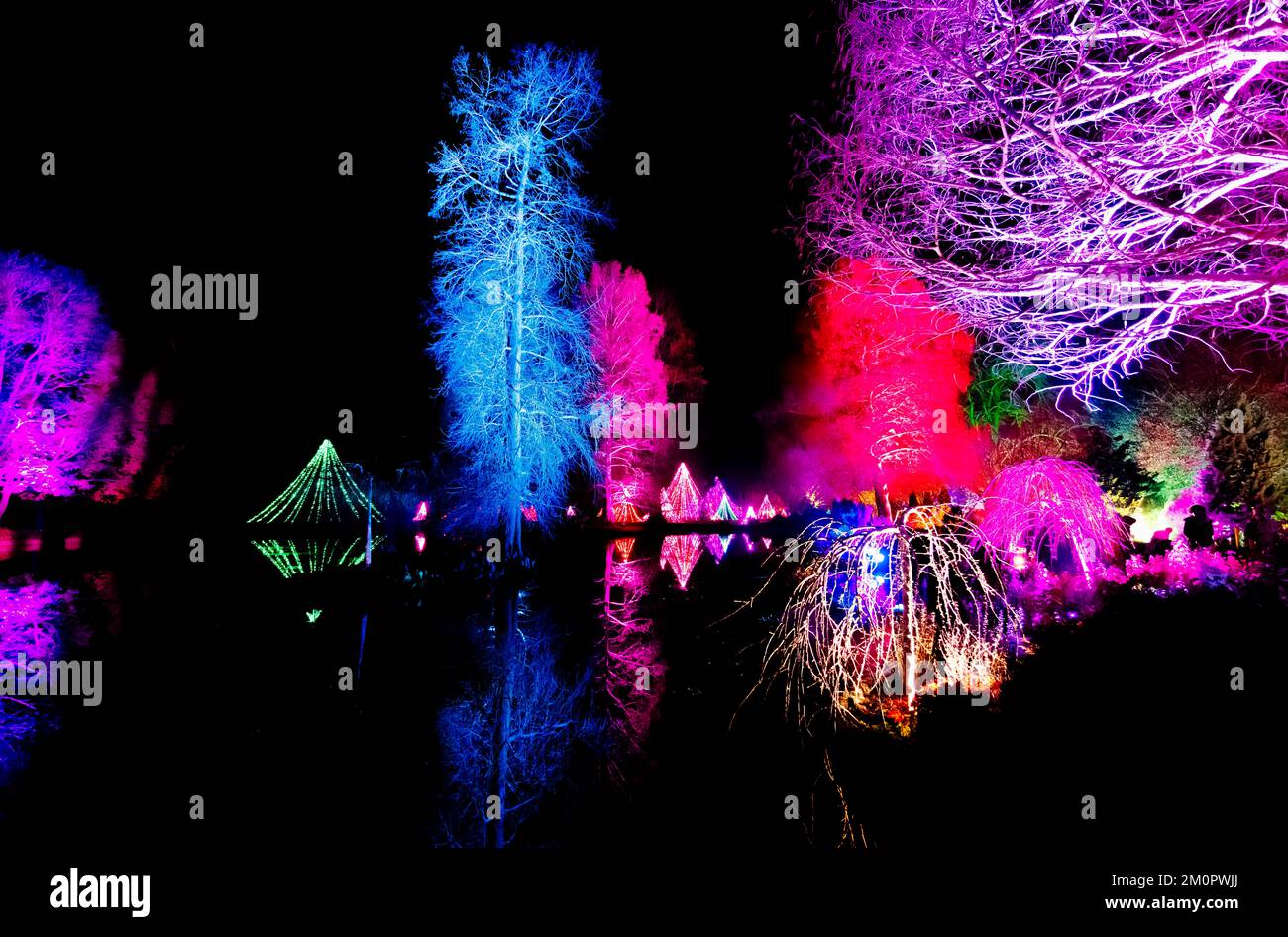 The 2022 annual Christmas Glow event in the Seven Acres area at RHS ...