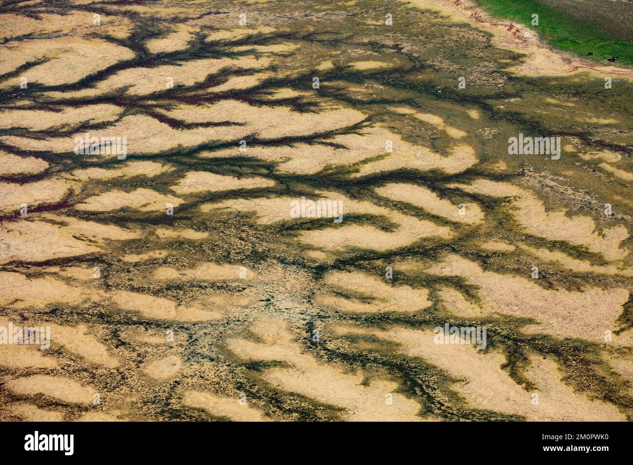 Anna creek australia hi-res stock photography and images - Alamy