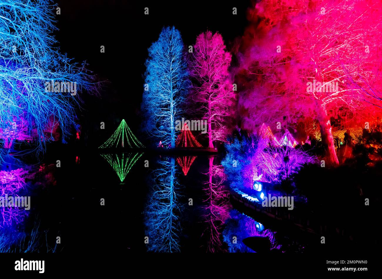 The 2022 annual Christmas Glow event in the Seven Acres area at RHS ...
