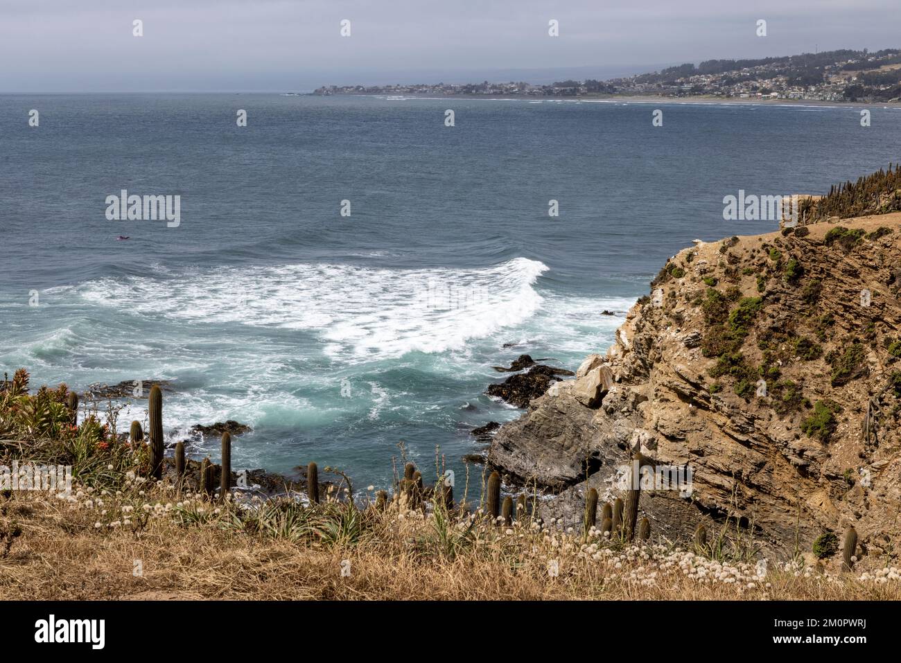Punta de Lobos in Pichilemu, Chile Stock Photo - Alamy