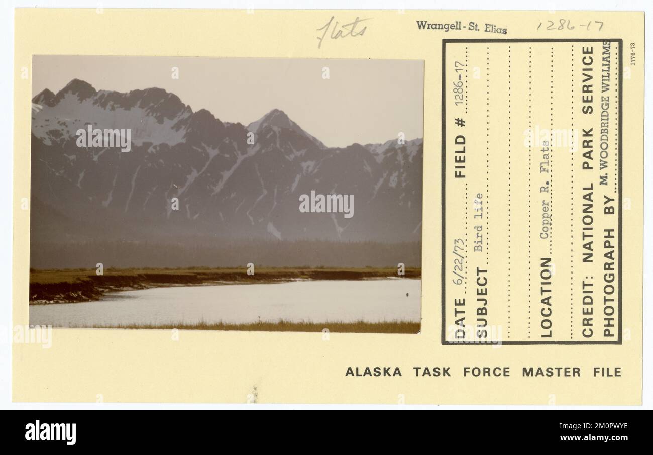 Bird life. Alaska Task Force Photographs Stock Photo - Alamy