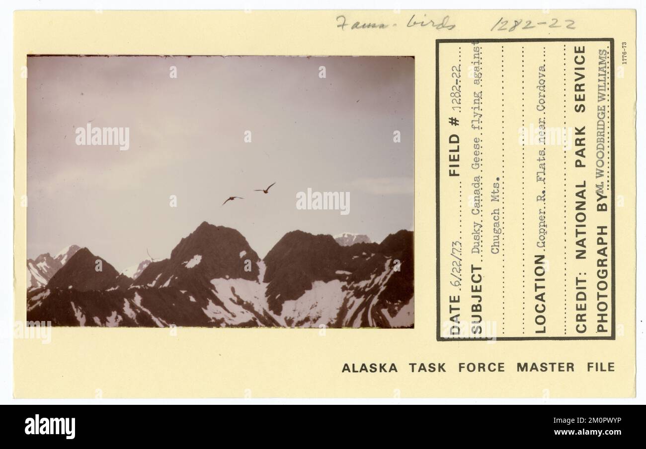 Canada landscape wildlife Cut Out Stock Images & Pictures - Alamy