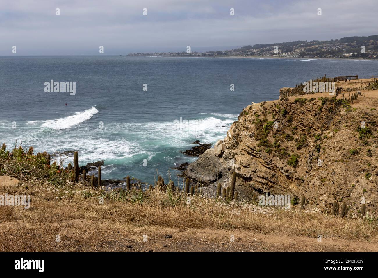 Punta de Lobos in Pichilemu, Chile Stock Photo - Alamy