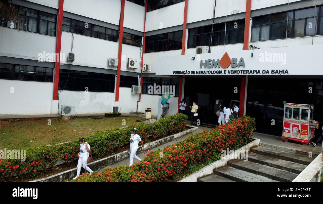 salvador, bahia, brazil - november 25, 2022: view of the Hematology and ...