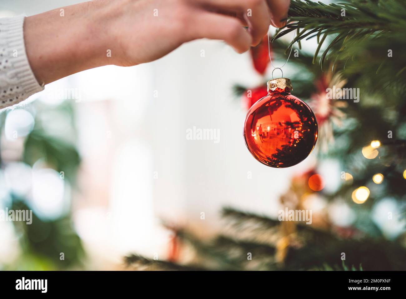 Man putting up christmas tree hi-res stock photography and images - Alamy