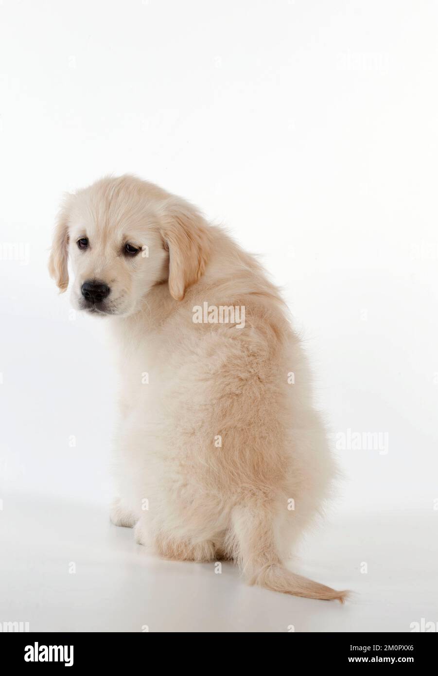 Down the back hi-res stock photography and images - Alamy