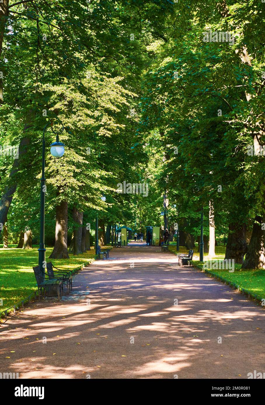 Trees and park path at the public park. Green city park with trees ...