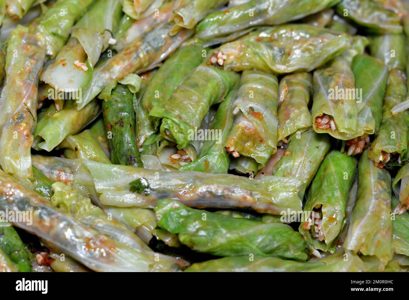 Pile of filled cabbage leaves wrap stuffed Egyptian mahshi and filled ...