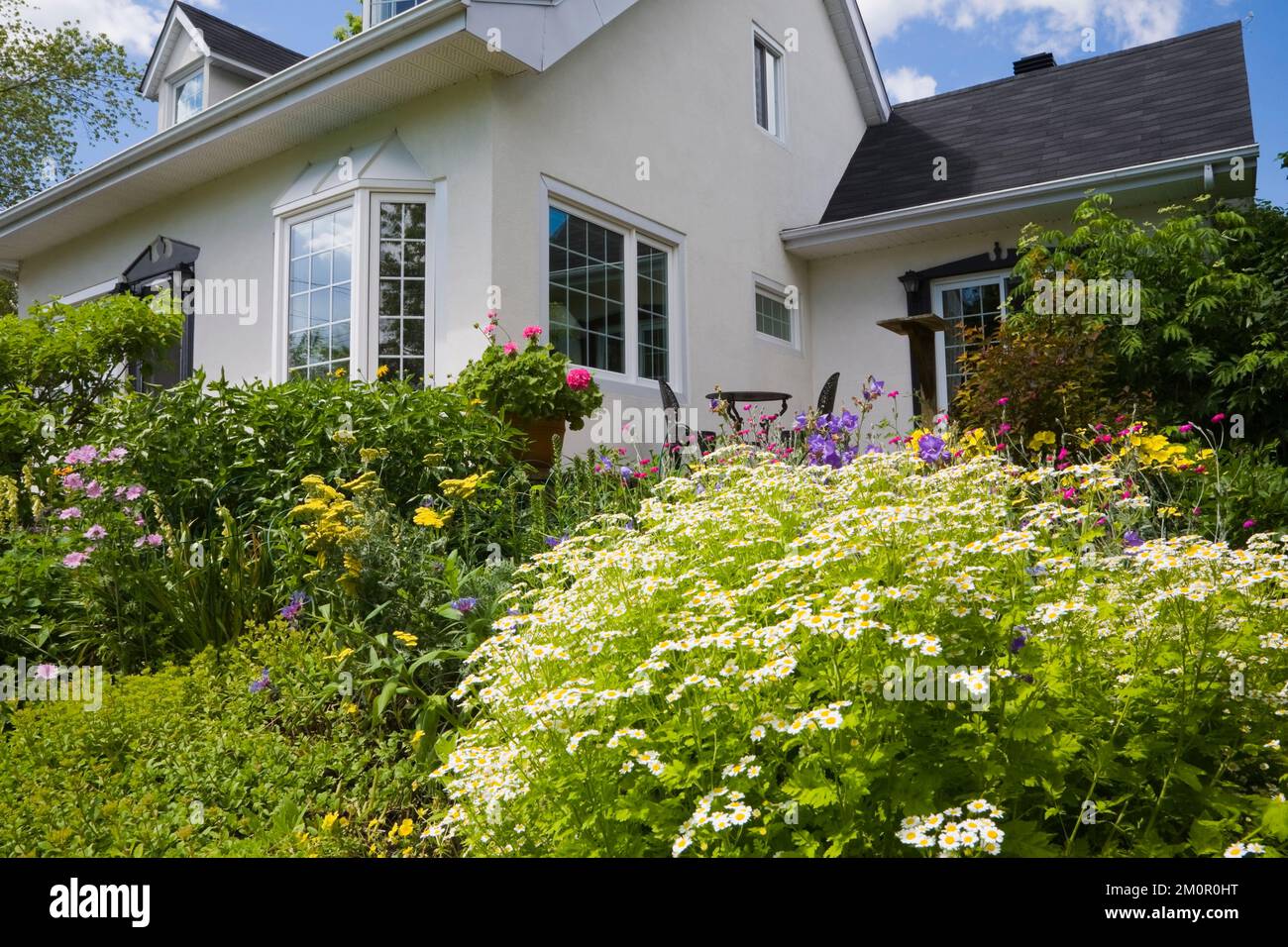 Two storied 1950s white with black trim French manor Canadiana style ...