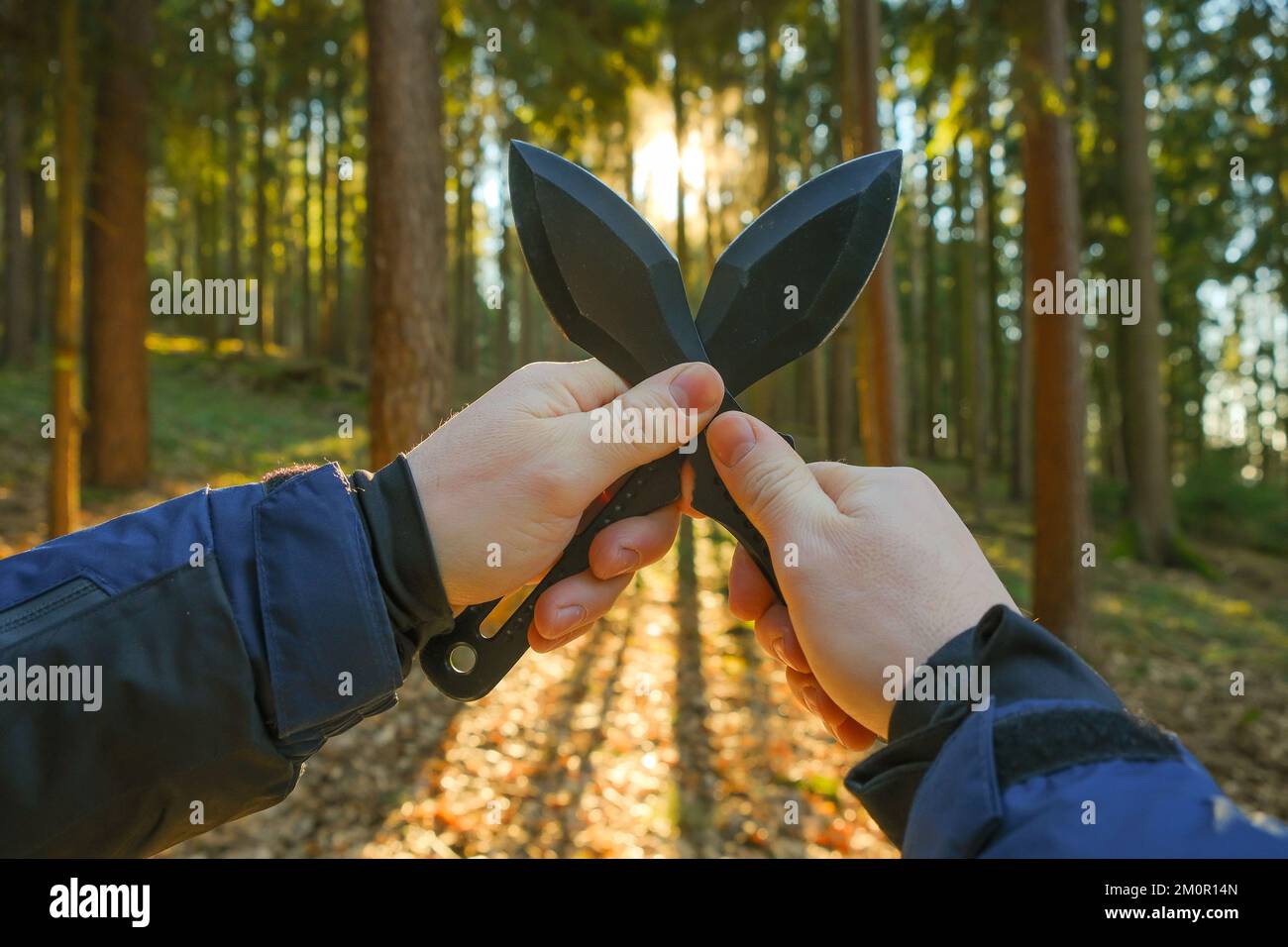 metal knives for throwing in a hands on a fir forest background.Outdoor ...