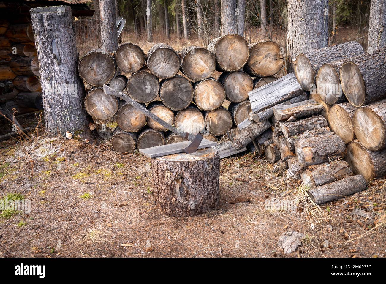 Chena Indian Village in Fairbanks, Alaska Stock Photo - Alamy