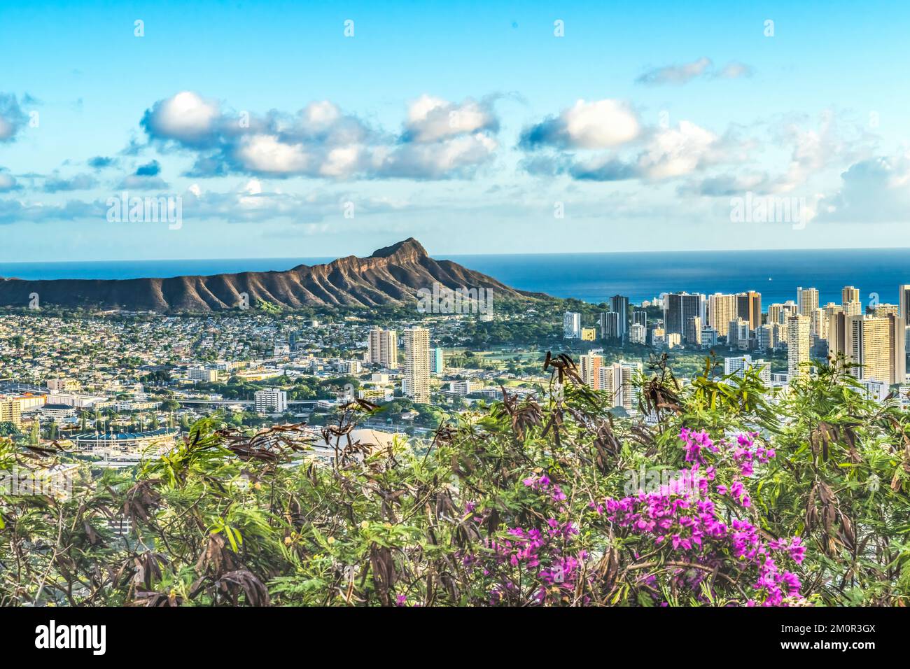 Colorful Tantalus Outlook Pink Bougainvillea Diamond Head Waikiki Beach ...