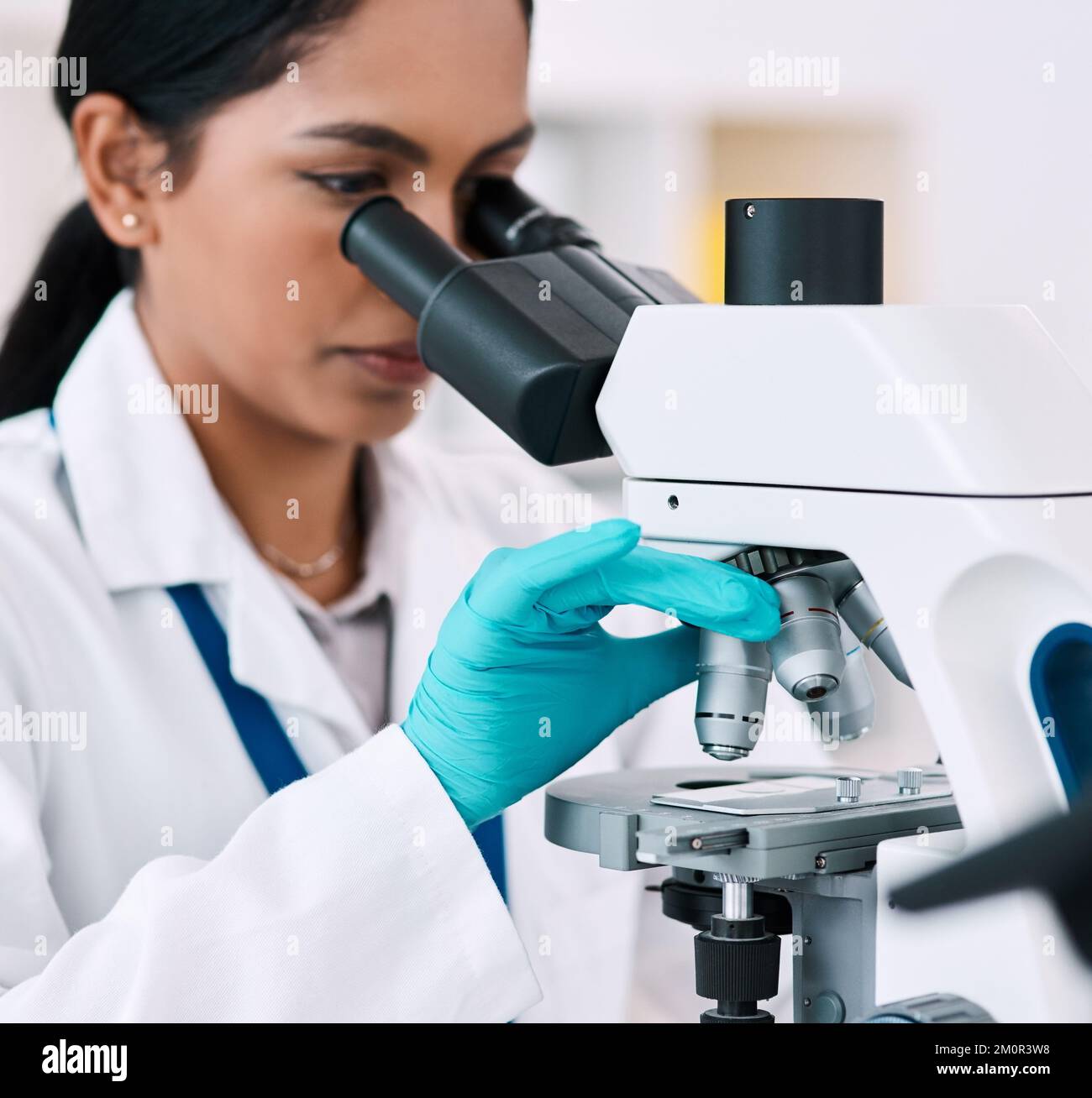 Scientist work looking in microscope hi-res stock photography and ...