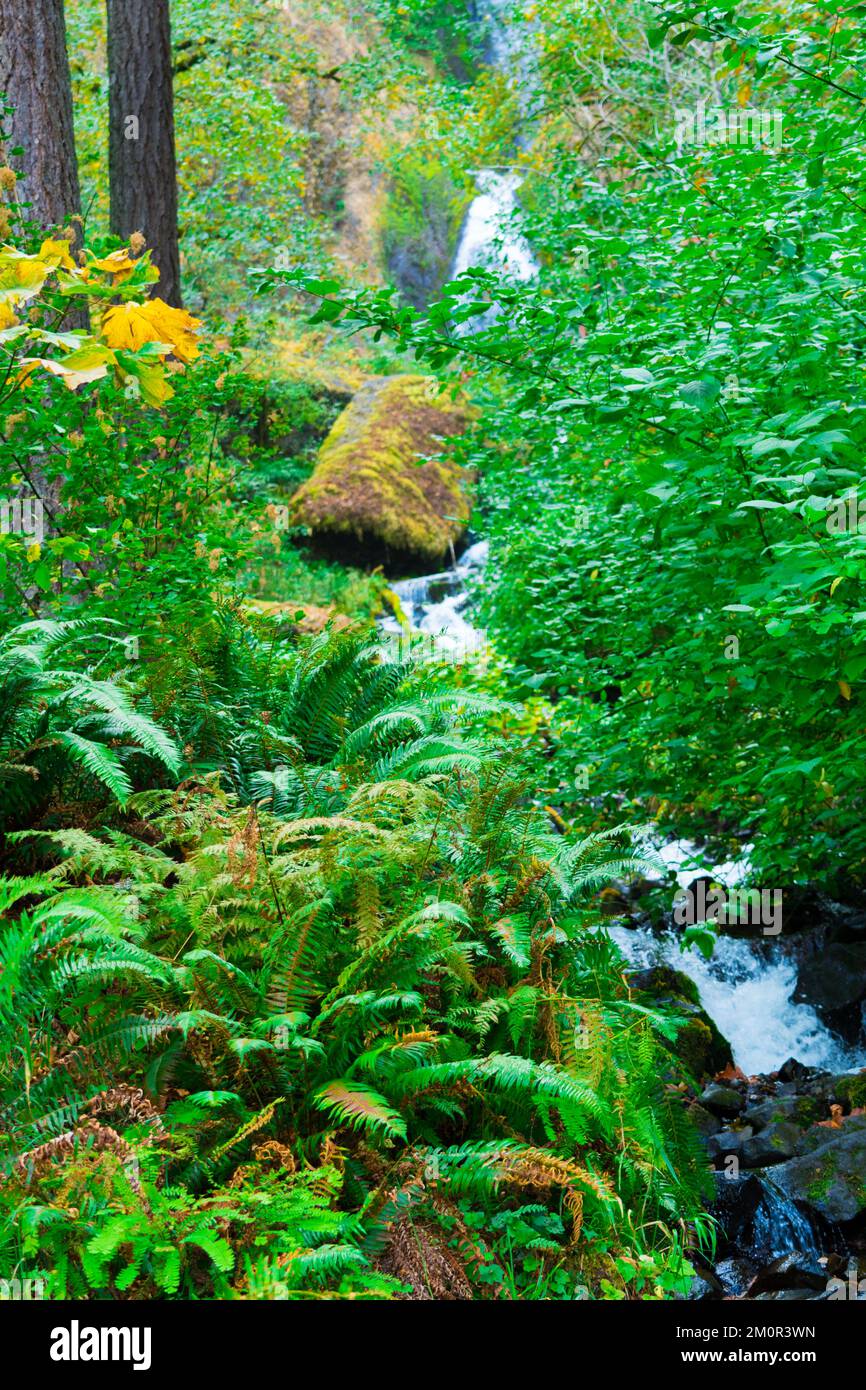 Waterfall in Columbia River Gorge in Eastern Oregon Stock Photo - Alamy