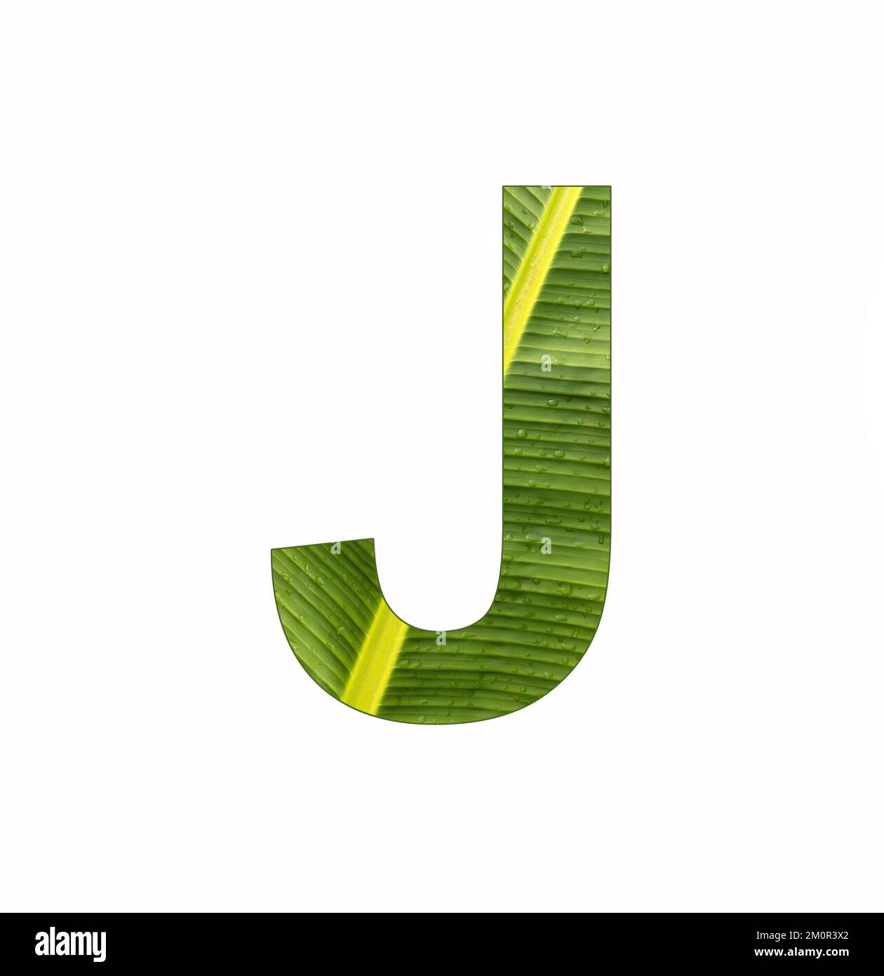 Alphabet Letter J - Banana plant leaf background Stock Photo - Alamy