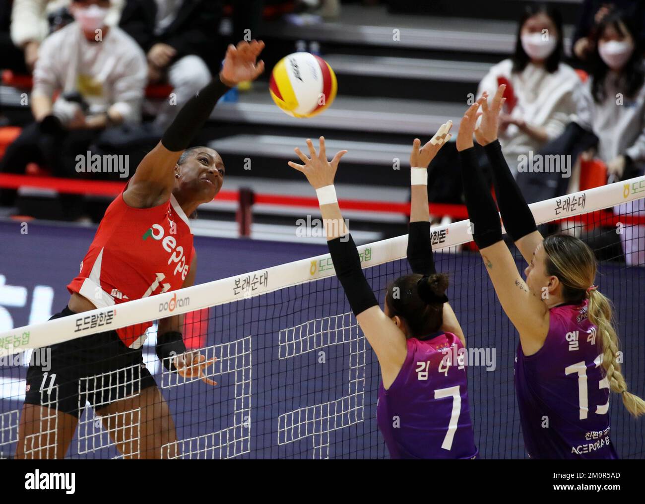 08th Dec, 2022. Volleyball: Heungkuk Life vs. Pepper Savings Bank Nia ...