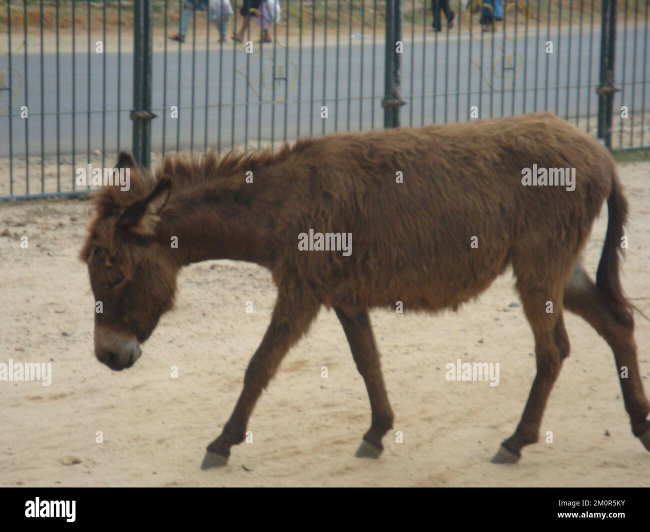 Places to visit in Jaffna, Sri Lanka Stock Photo - Alamy