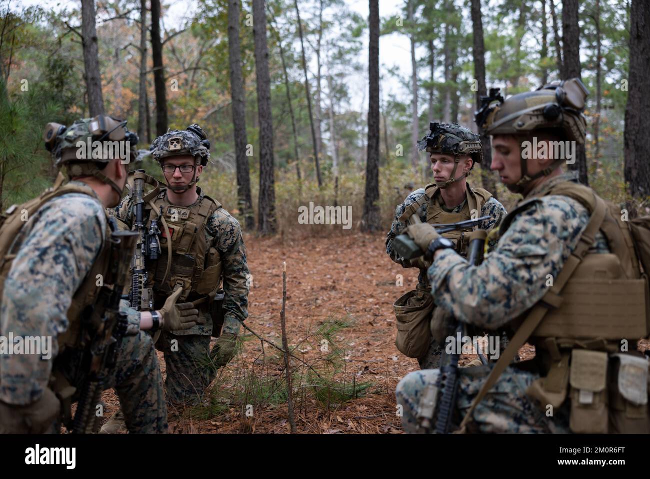 U.S. Marines with 2d Combat Engineer Battalion, 2d Marine Division ...
