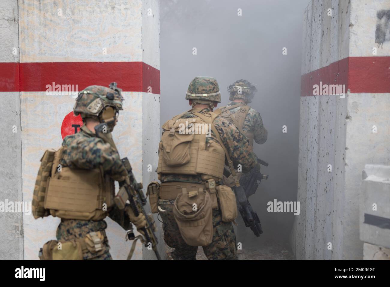 U.S. Marines with 2d Combat Engineer Battalion, 2d Marine Division ...
