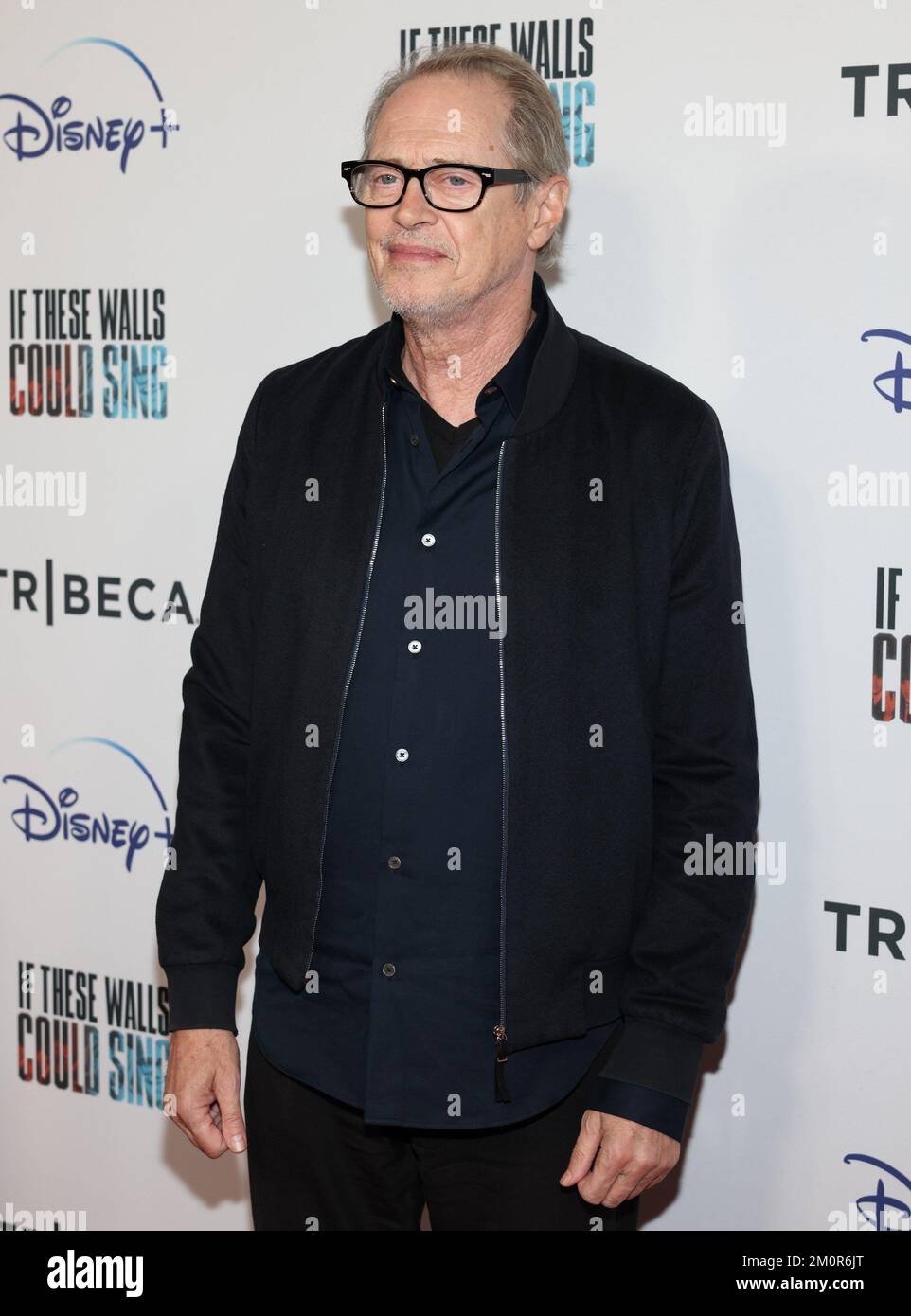 New York, NY, USA. 7th Dec, 2022. Steve Buschemi at arrivals for IF ...