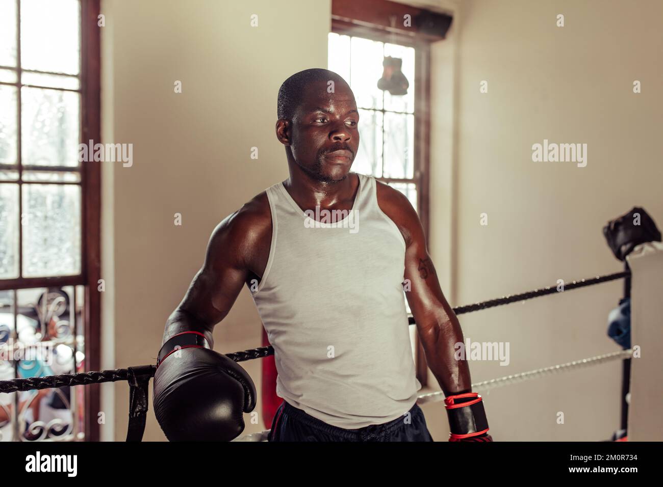 Sweating young man leaning on boxing ring rope s while taking a break ...