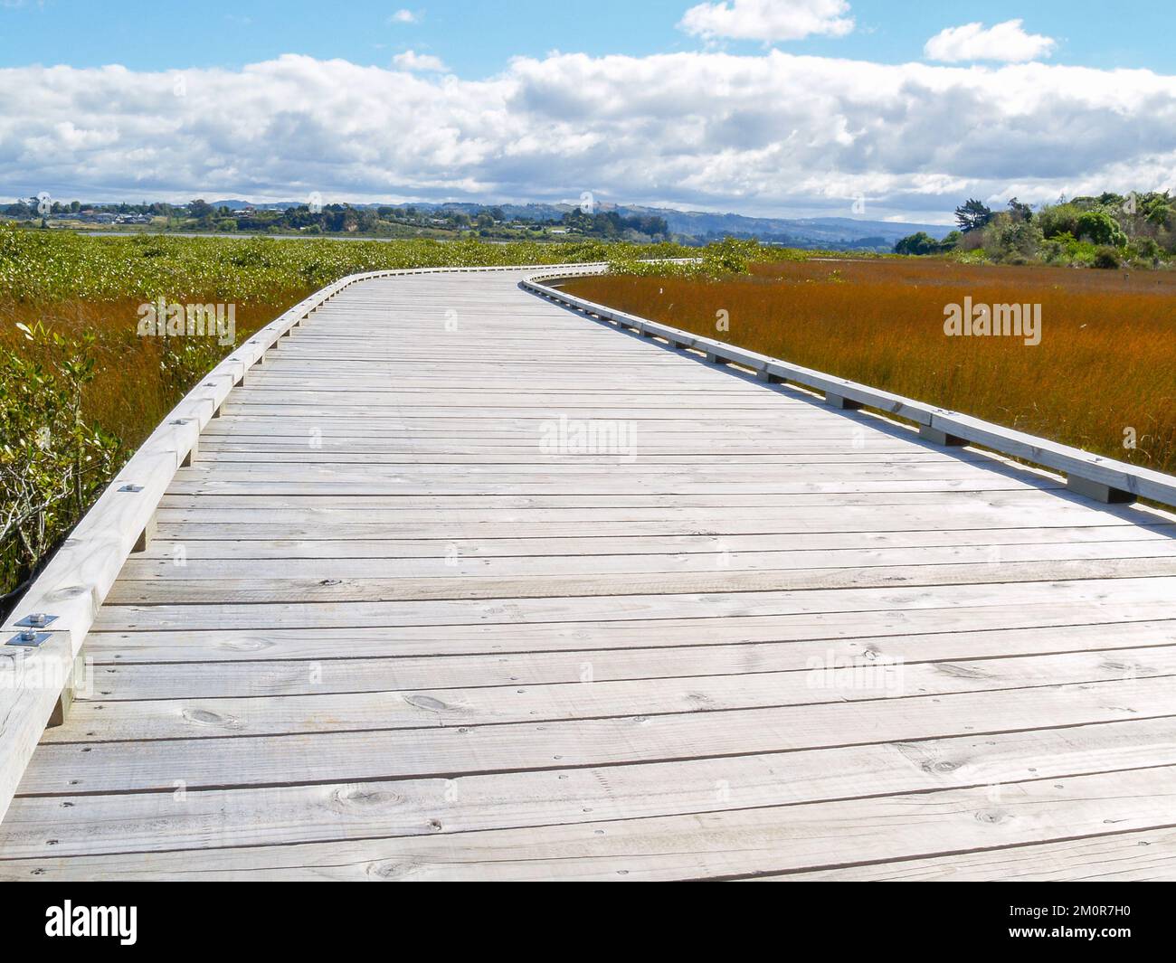 Wooden walkway through Matua wetland Tauranga Stock Photo - Alamy