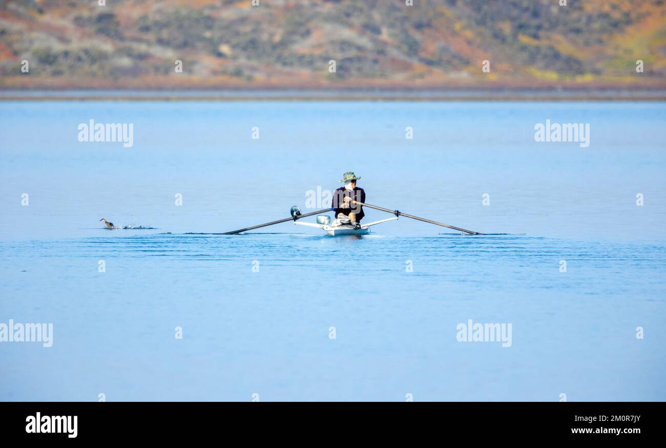 One man racing skull rowing boat hi-res stock photography and images ...