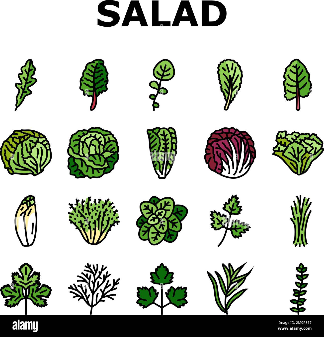 Green salad item Stock Vector Images - Alamy