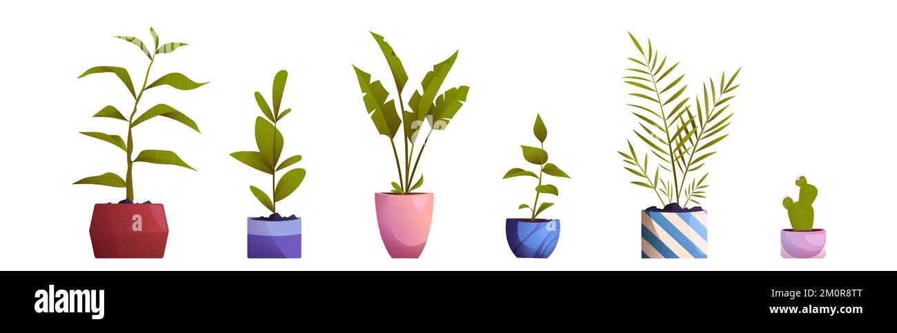 Cartoon set of potted flowers, trees isolated on white background ...
