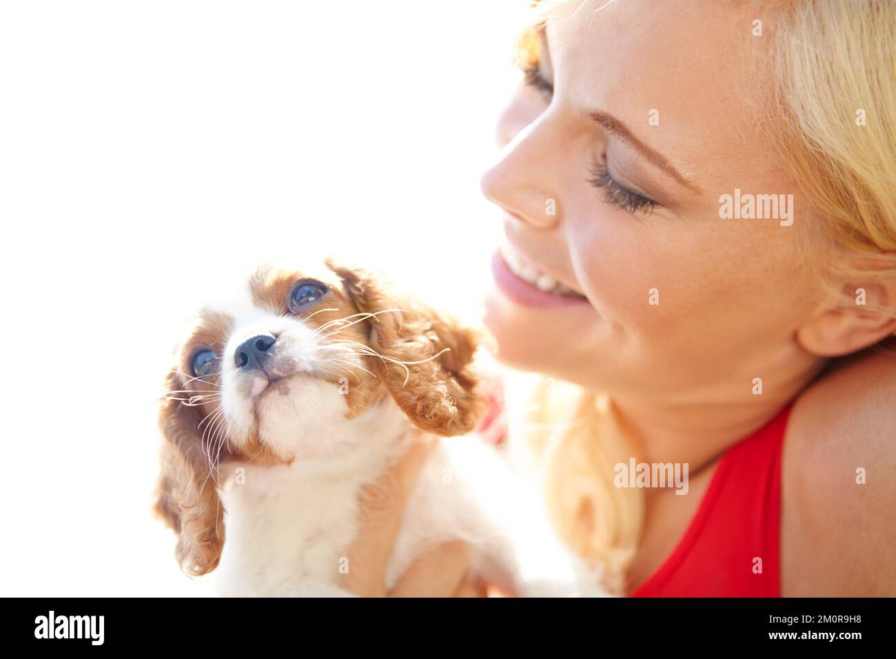I adore this little thing. a beautiful blonde hugging a cute puppy with ...