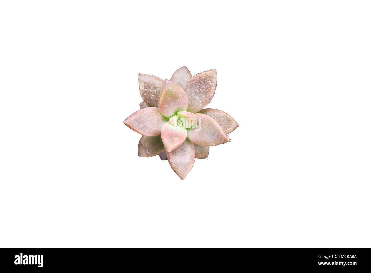 Small fields Cut Out Stock Images & Pictures - Alamy